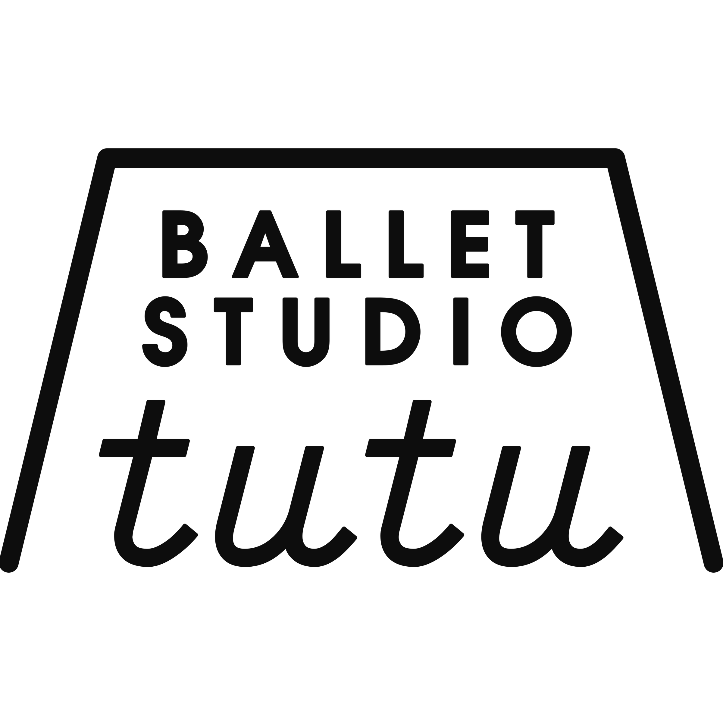 Home | BALLET STUDIO tutu